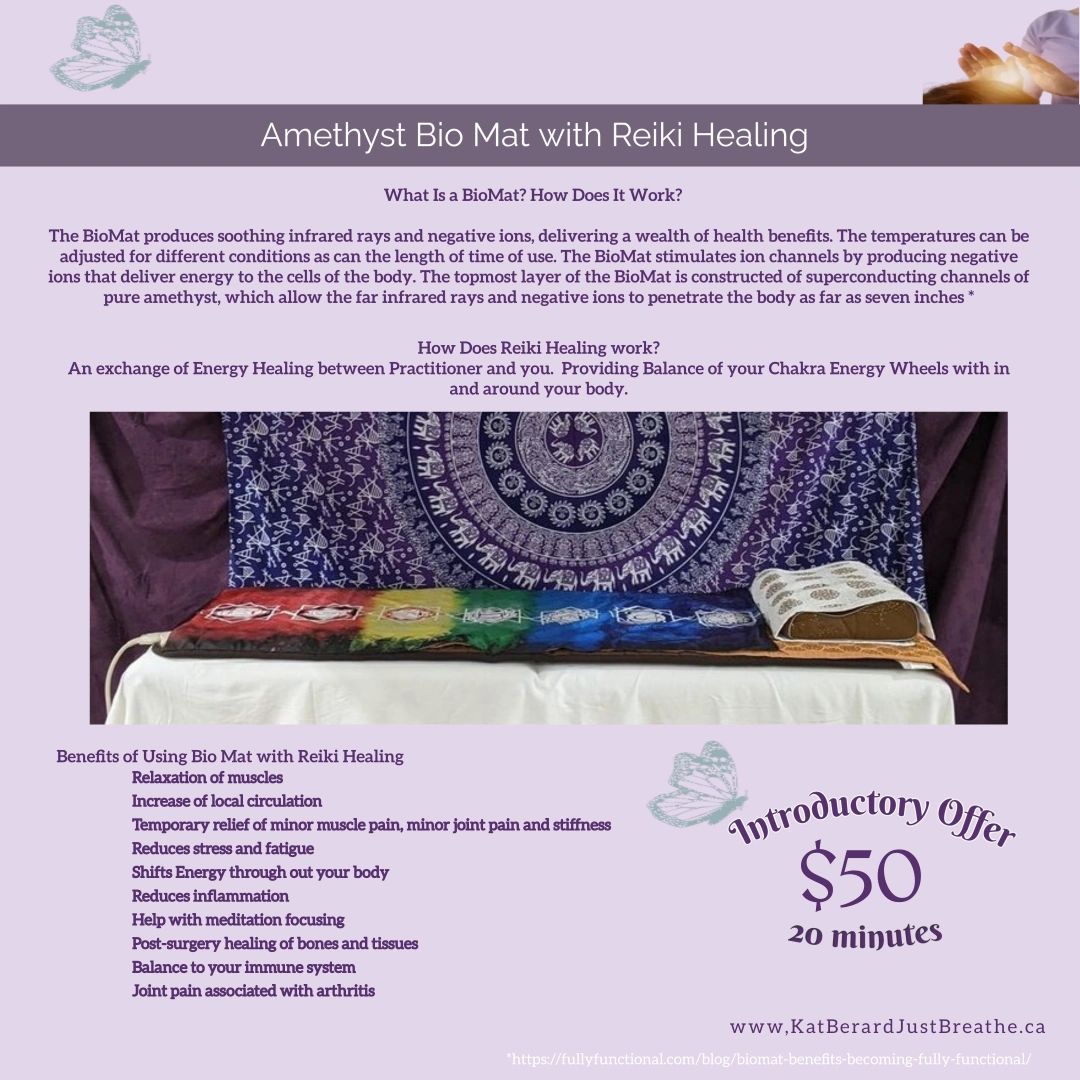 Connect with Ms. Kat